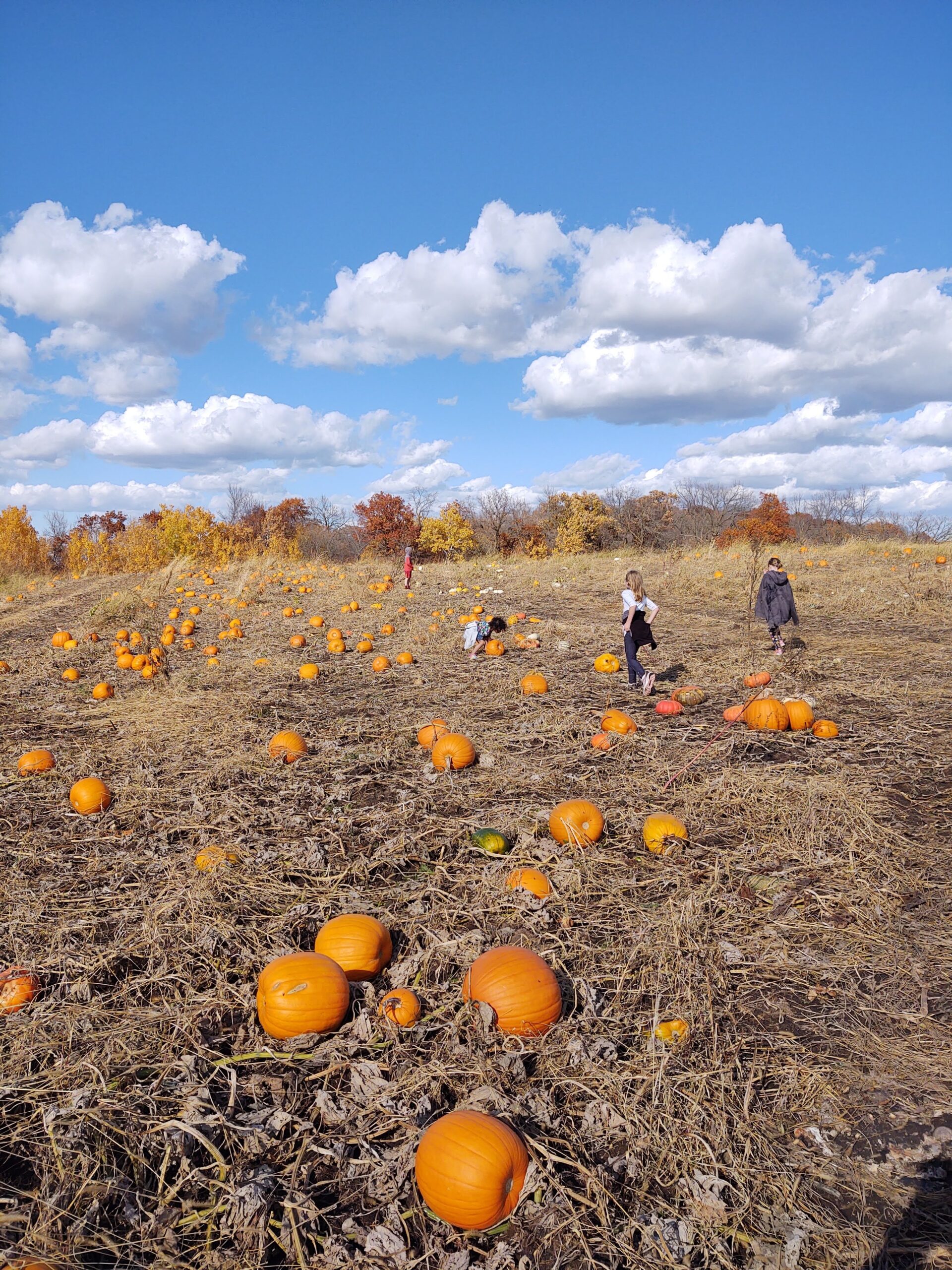 Community Kids Find Unity in New Season - TRC Ministries